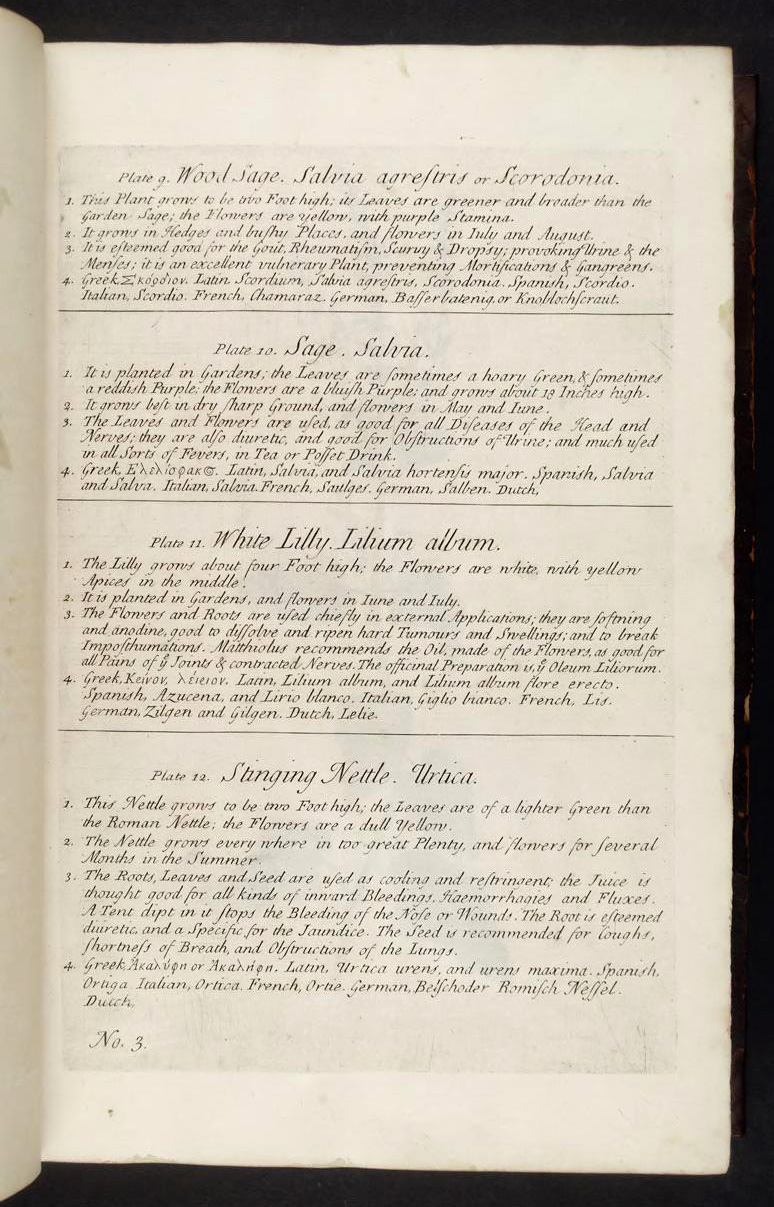Elisabeth Blackwell – One Hand, One Vision | A Curious Herbal Essay